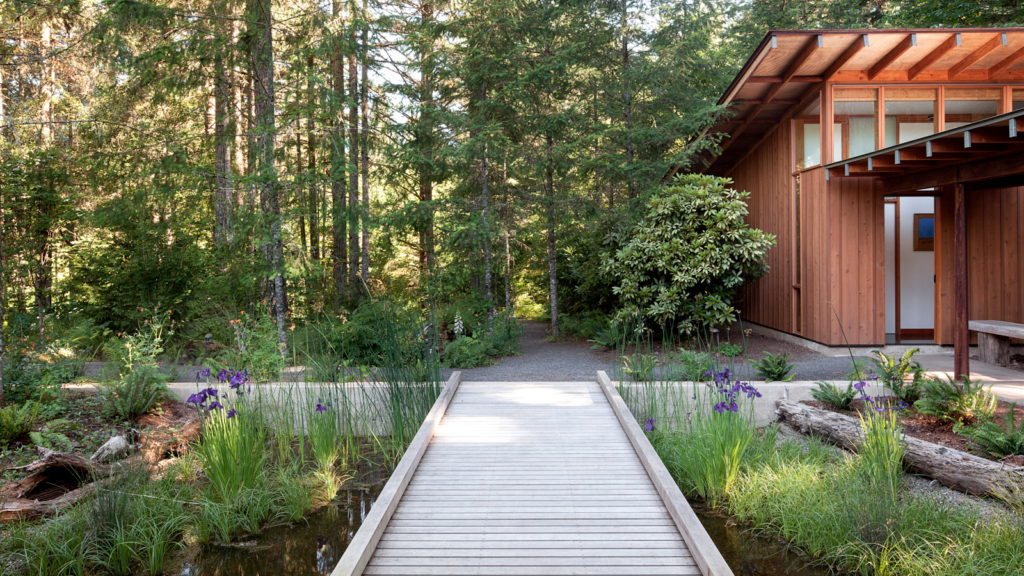 Home of the Week: House on a Pond - Home Builder Digest